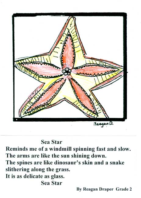 Autumn Leaves Gallery